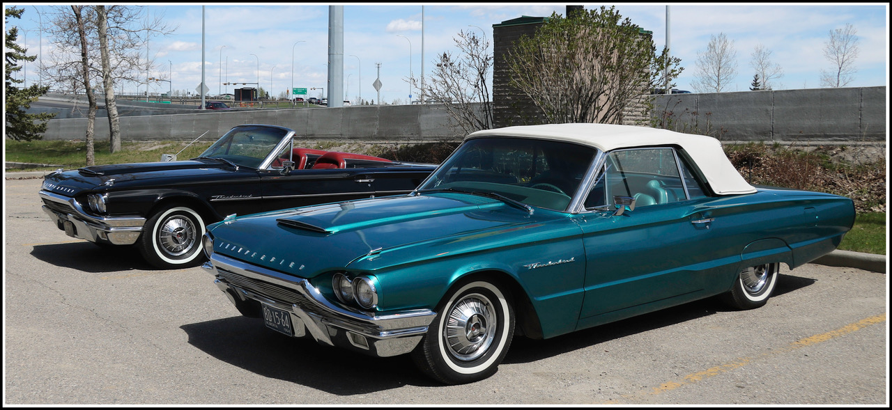 Thunderbird Appreciation Days - Calgary Thunderbird Club